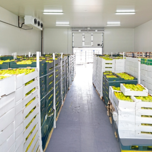 Fruit and Vegetables Cold Storage | Tekop Refrigeration