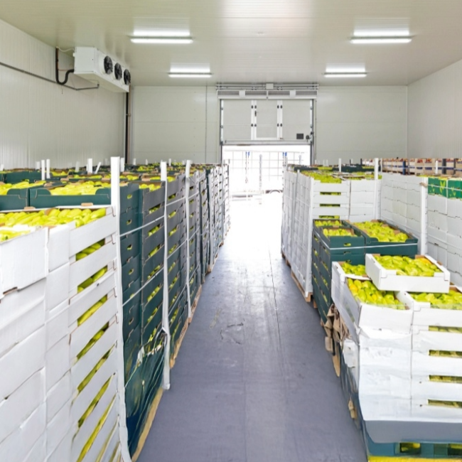 Fruit and Vegetables Cold Storage | Tekop Refrigeration